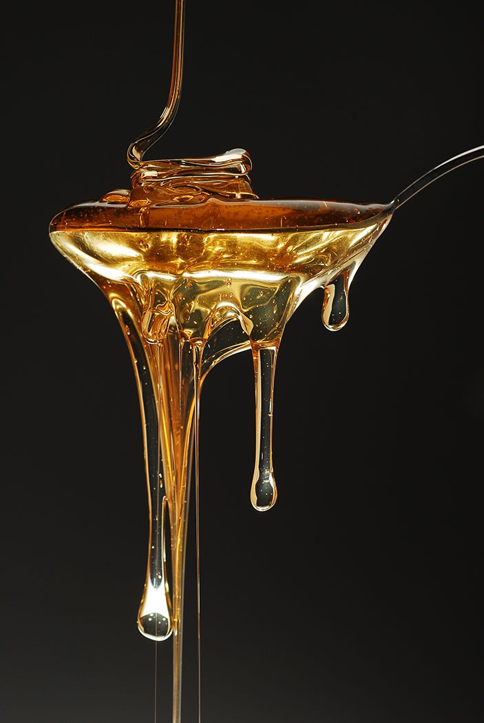 Miel Natural Gourmet Artesana | Tierra de Renacimiento